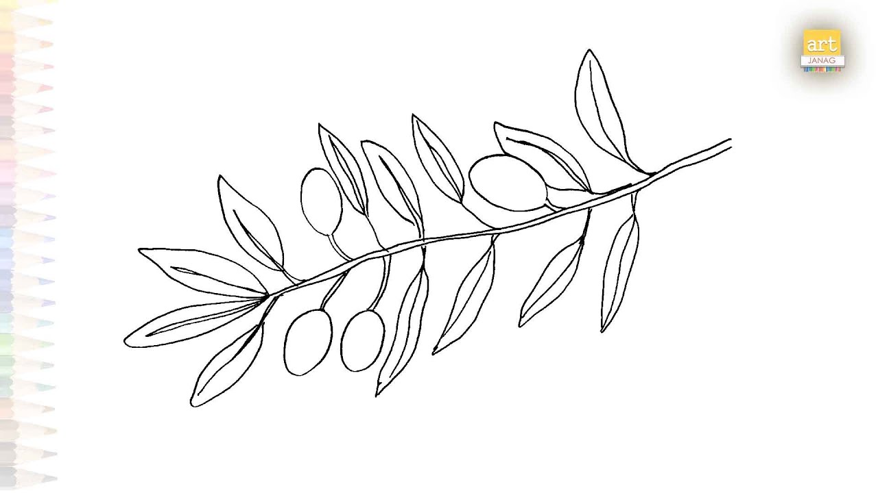 Olive leaves branch easy drawing | Plant drawings | How to draw an ...
