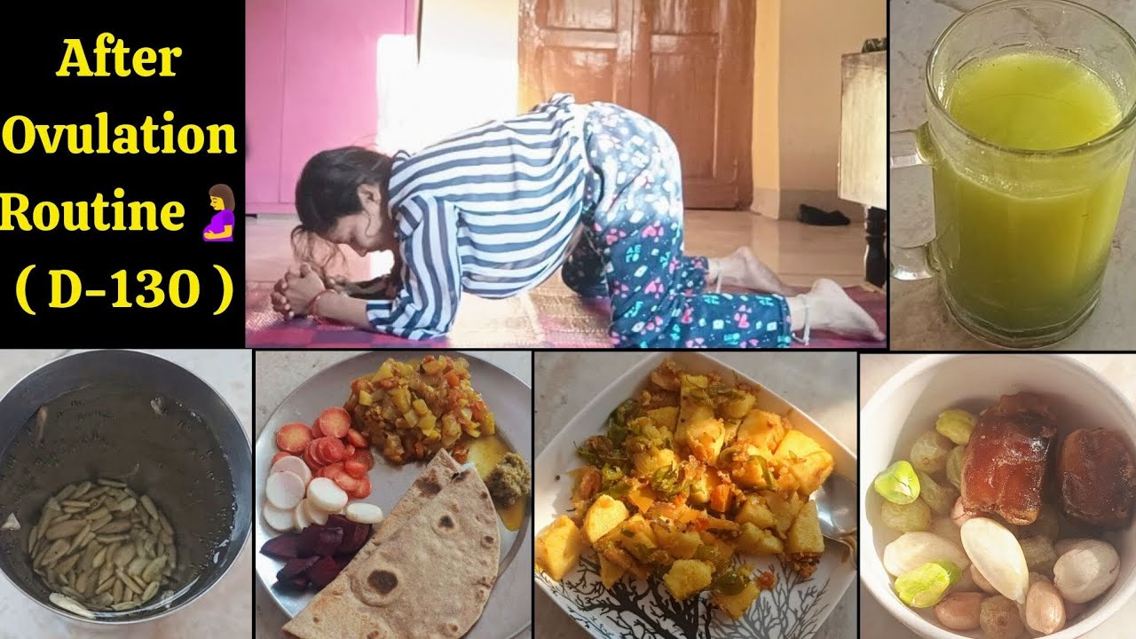 Luteal phase routine🤰Full day routine🤗 (D-130) @Pratikiduniya - YouTube
