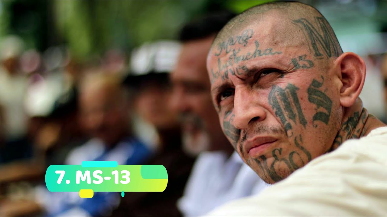 Top 10 cele mai Mari ORGANIZATII MAFIOTE - YouTube