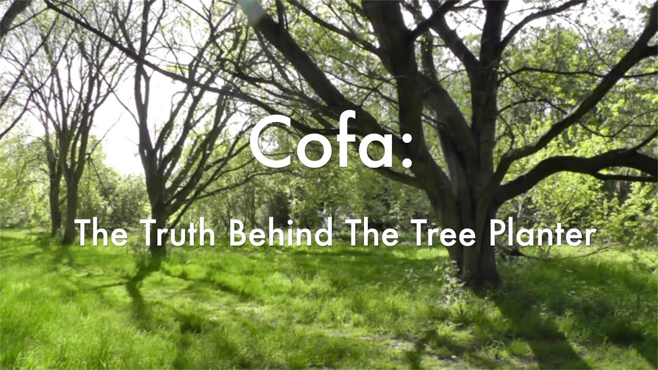 Cofa: The Truth Behind The Tree Planter - YouTube