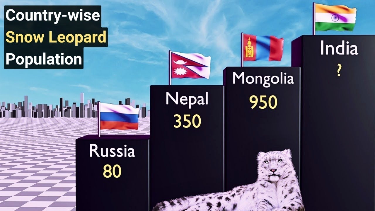 Snow Leopard Population by Country - YouTube