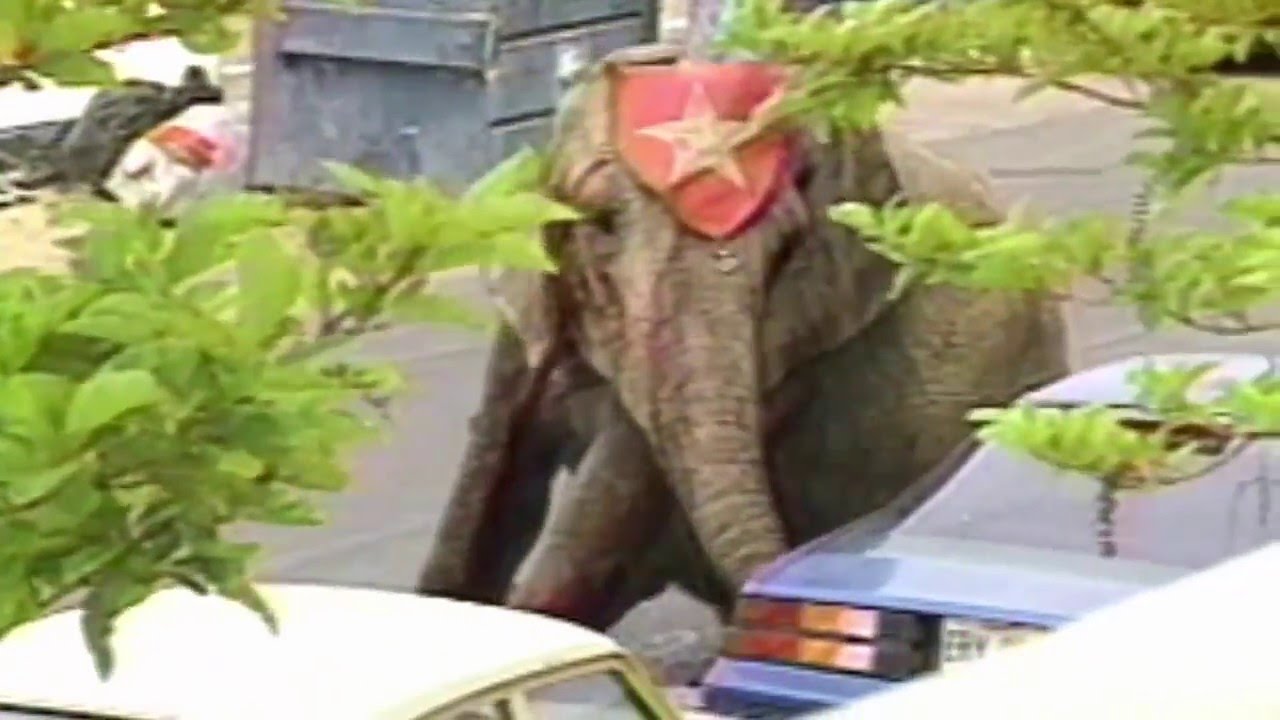 Tyke the Elephant's Last Day on Earth - YouTube