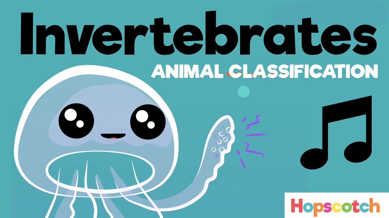 Animal Classification: The Invertebrates Song - YouTube