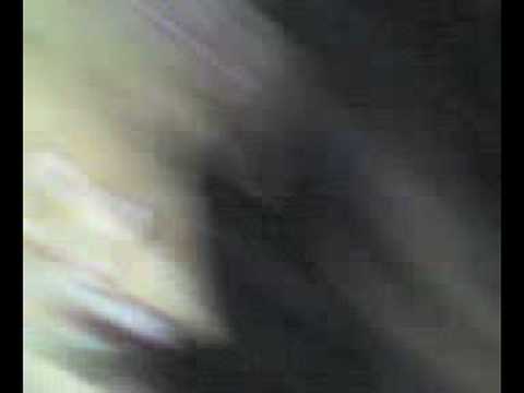 ahora el pollo matando el gusano