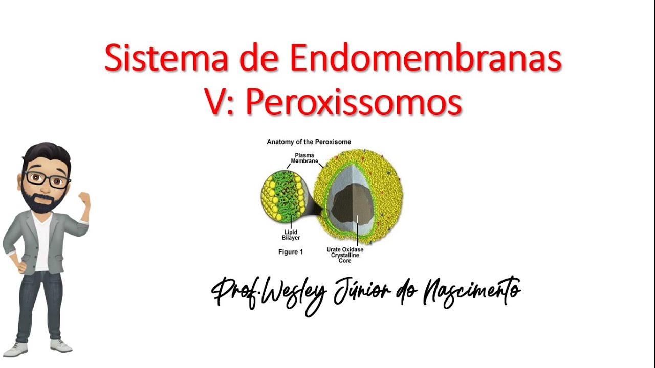 Biologia Celular -Ensino Superior -Aula 14: Peroxissomos - YouTube