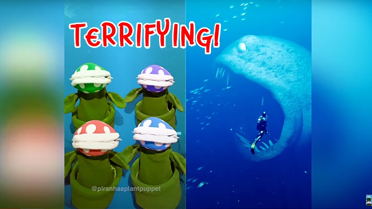 Piranhaa Plants getting SCARED straight for almost 8 minutes - YouTube