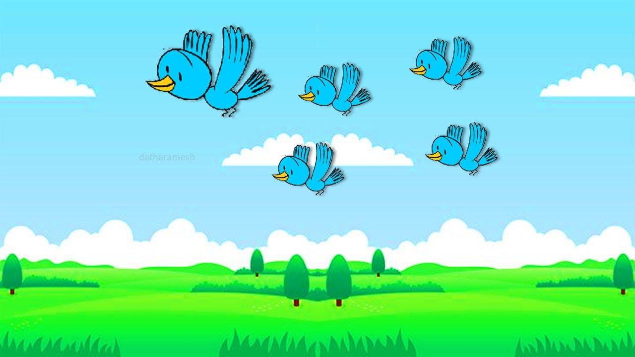 Flying Birds Pictures Animation