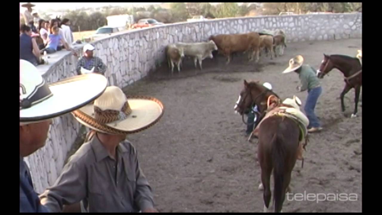 Lo Mejor de los Coleaderos 2008 8 - YouTube