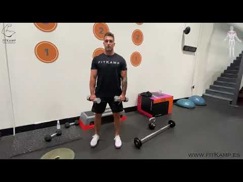 Cómo realizar el ejercicio de elevaciones frontales con disco mancuerna ...