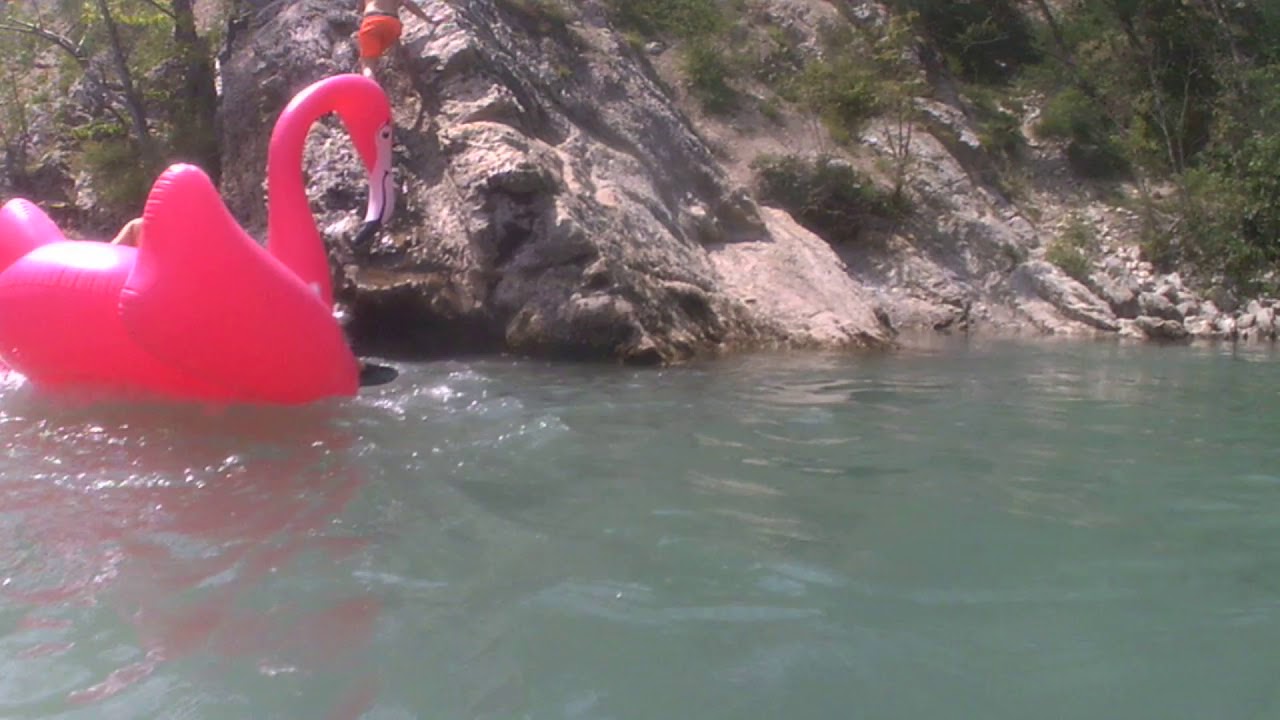 La flamingo action - YouTube