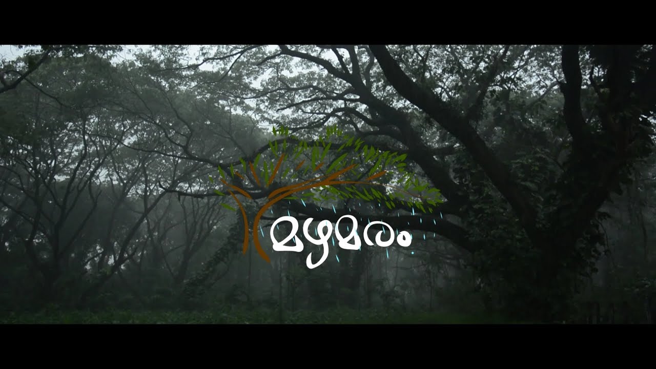 MAZHAMARAM | Micro Visual Beauty Film | Kerala Nature | Dream Explorer ...