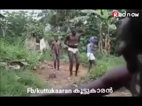 Furiddin 2016 May 23