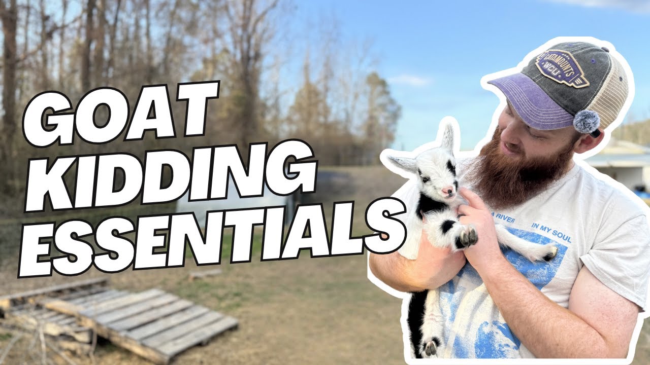 First Time Kidding: What’s in Our Goat Emergency Bag? - YouTube