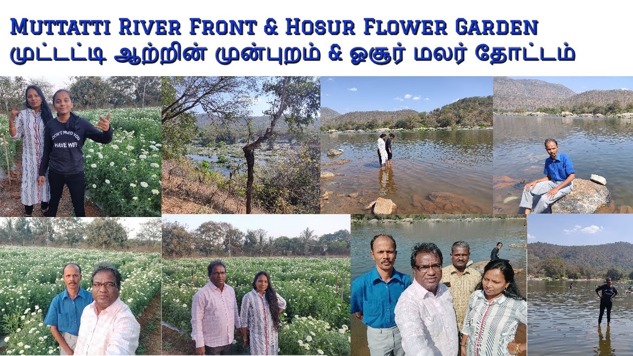Muttatti River Front & Hosur Flower garden | முத்தட்டீ ஆற்றங்கரை ...