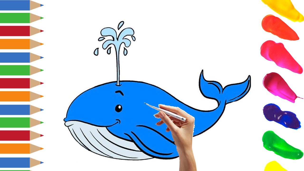 Spouting Whale Drawing 🐋| How to draw a whale | Whale drawing for kids ...