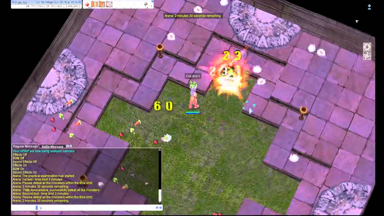 [Ragnarok Online] Sage Job Change Quest: Practical Exam part - YouTube