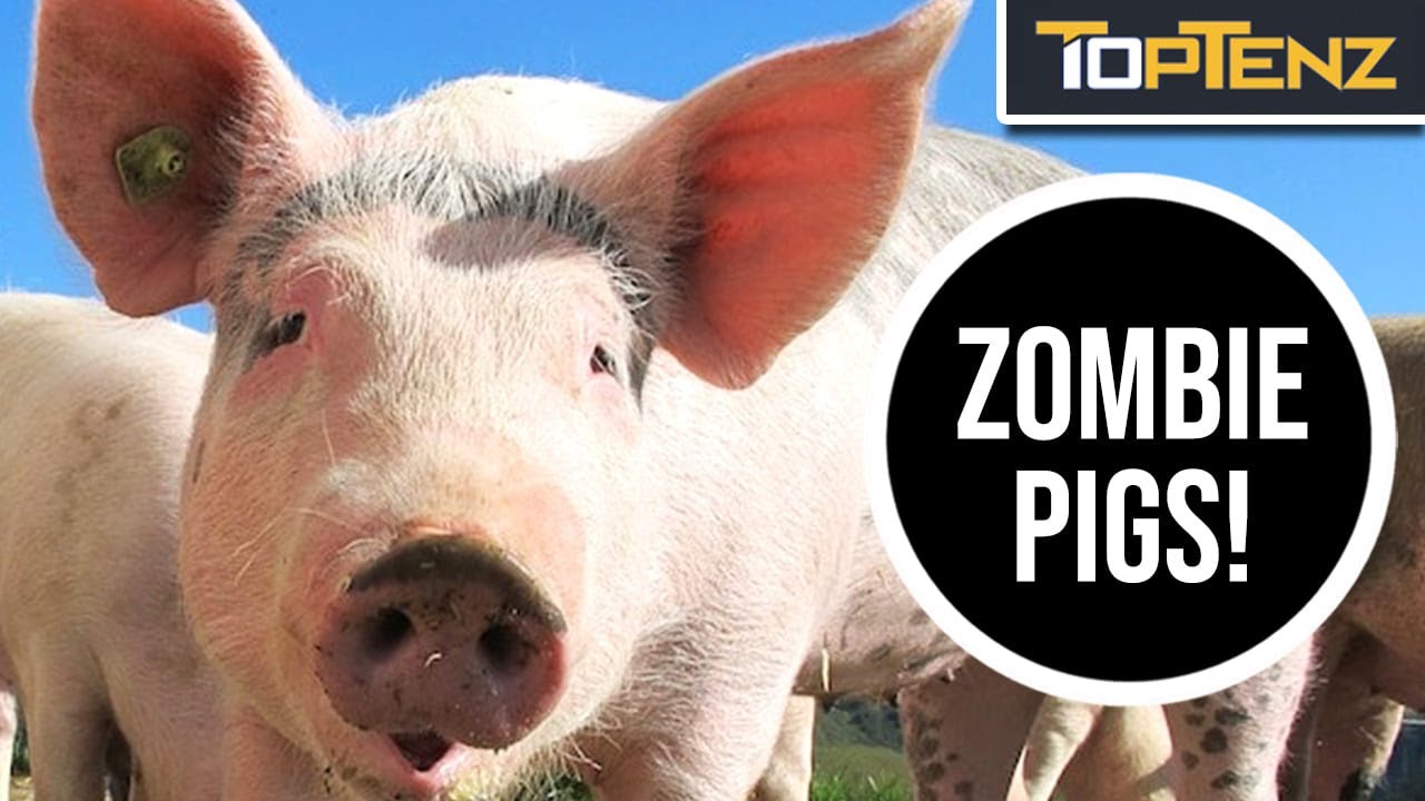 10 Things Pop Culture and the Media Insist on Calling Zombies - YouTube