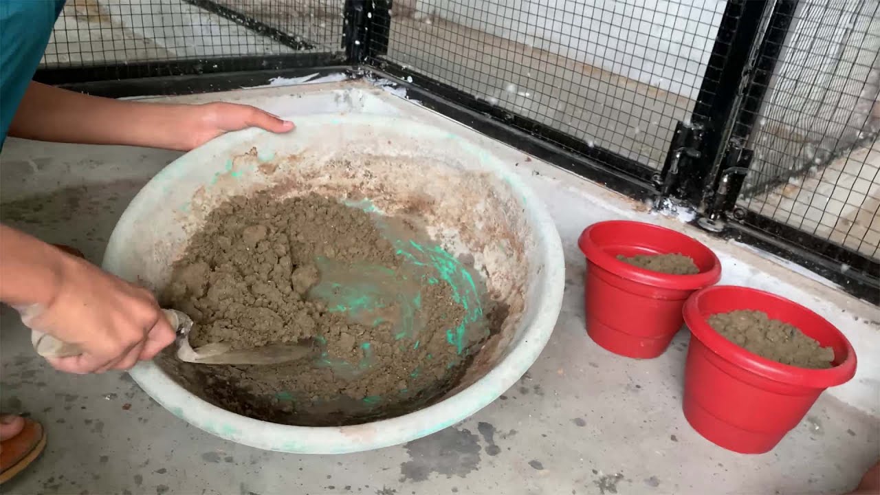 Important Item in My Aviary After Breeding ⚡⚡⚡ - YouTube