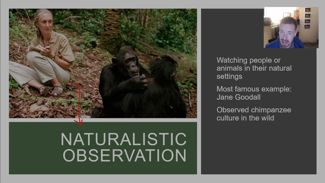 Jane Goodall Naturalistic Observation