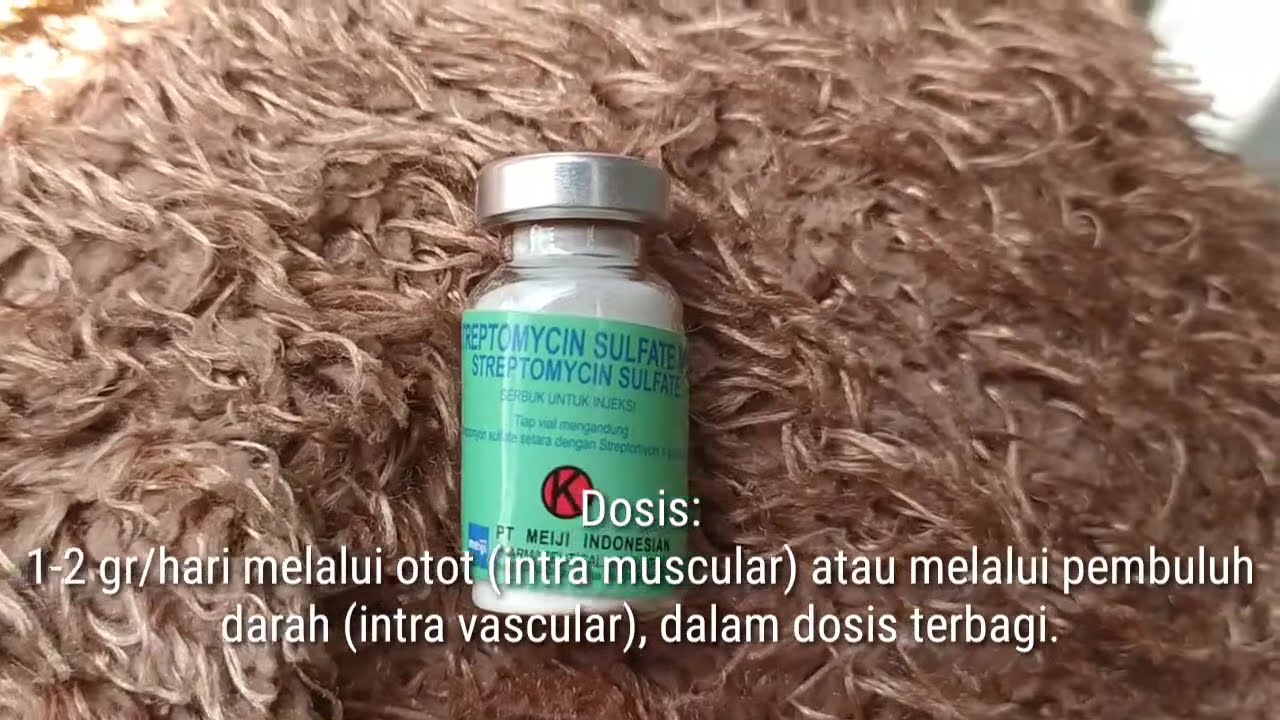 Obat tb injeksi ll streptomycin obat paru - YouTube