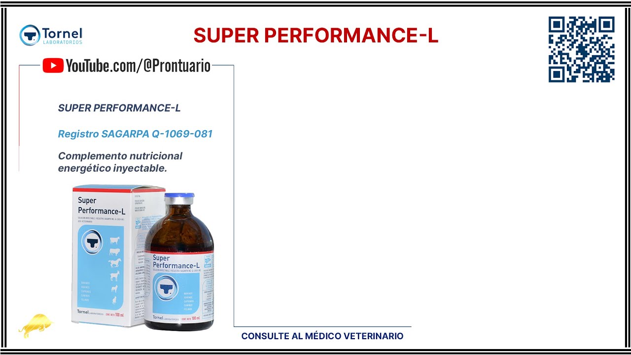 SUPER PERFORMANCE-L - YouTube