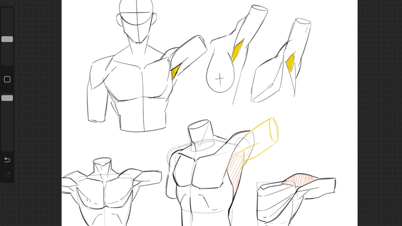 Practicing anatomy - YouTube