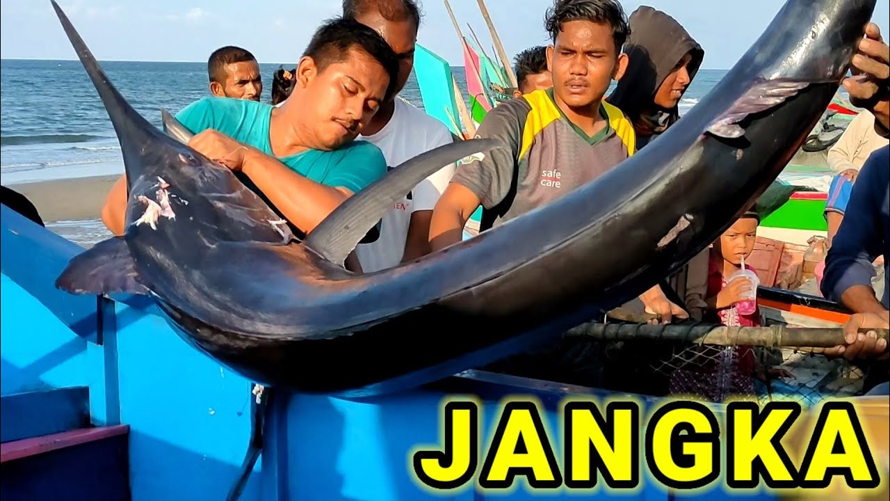 Amazing, YELLOWFIN TUNA Big Catch Fishing Skill Fisherman SEA - YouTube