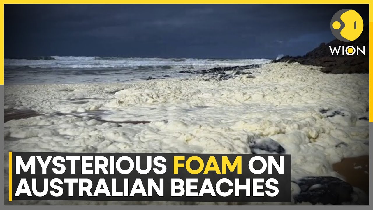 Strange Foam And Dead Fish Wash Ashore At 2 Australian Beaches | World ...