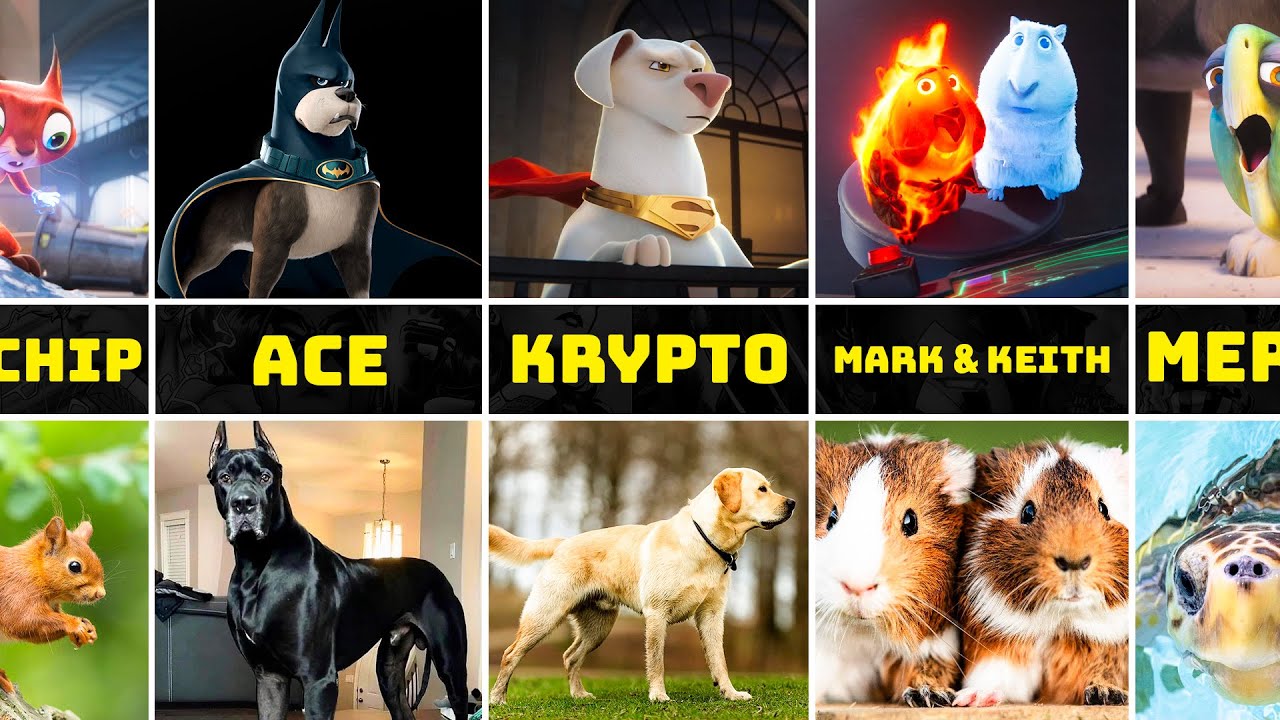 DC League of Super-Pets Characters in Real Life - YouTube