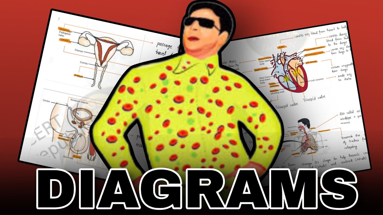 Don’t miss class 10 🔥 Science DIAGRAMS based QUESTIONS class 10 boards ...