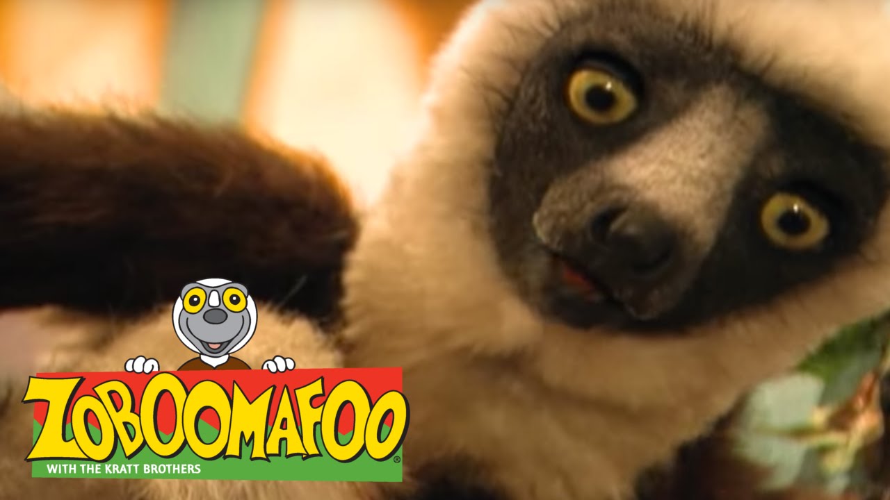 Zoboomafoo 137 - Cats (Full Episode) - YouTube