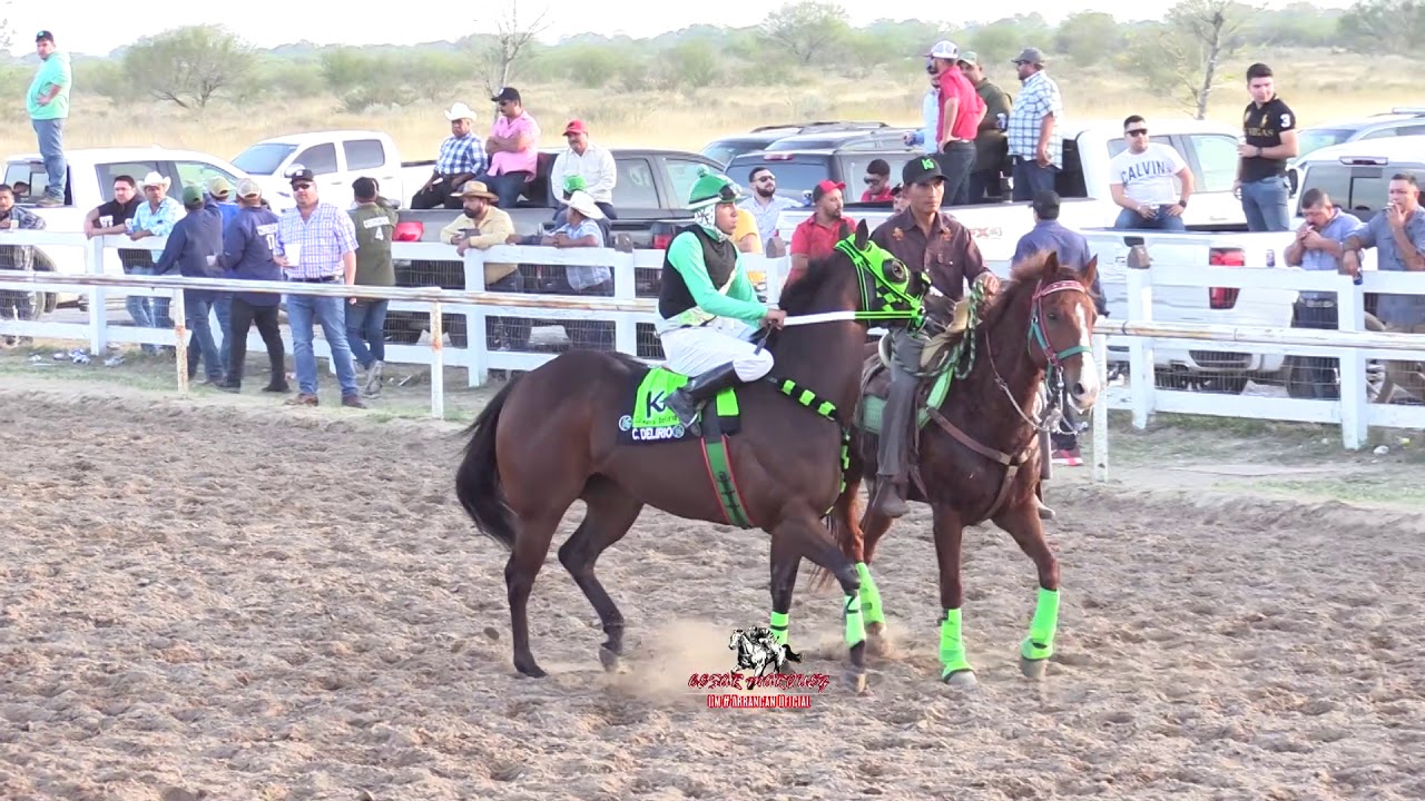 ELPICO BLANCO CUADRA DELIRIO VS EL CANTIFLAS CUADRA RODEO 250 YDS - YouTube