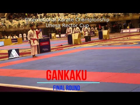 International Karate Championship Unesa Rector Cup - YouTube
