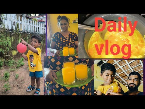 Morning to Evening Routine in husband Place #goanvlogger #konkanivideo #virl