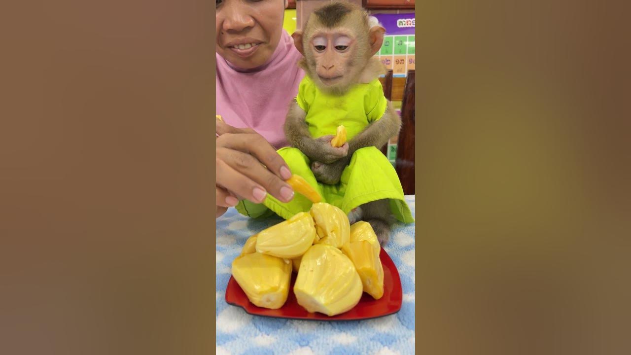 Yummy Jackfruit To Sis Marrya Youtube