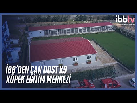 İBB’nin Can Dost K9 eğitim ekibinin faaliyetleri devam ediyor