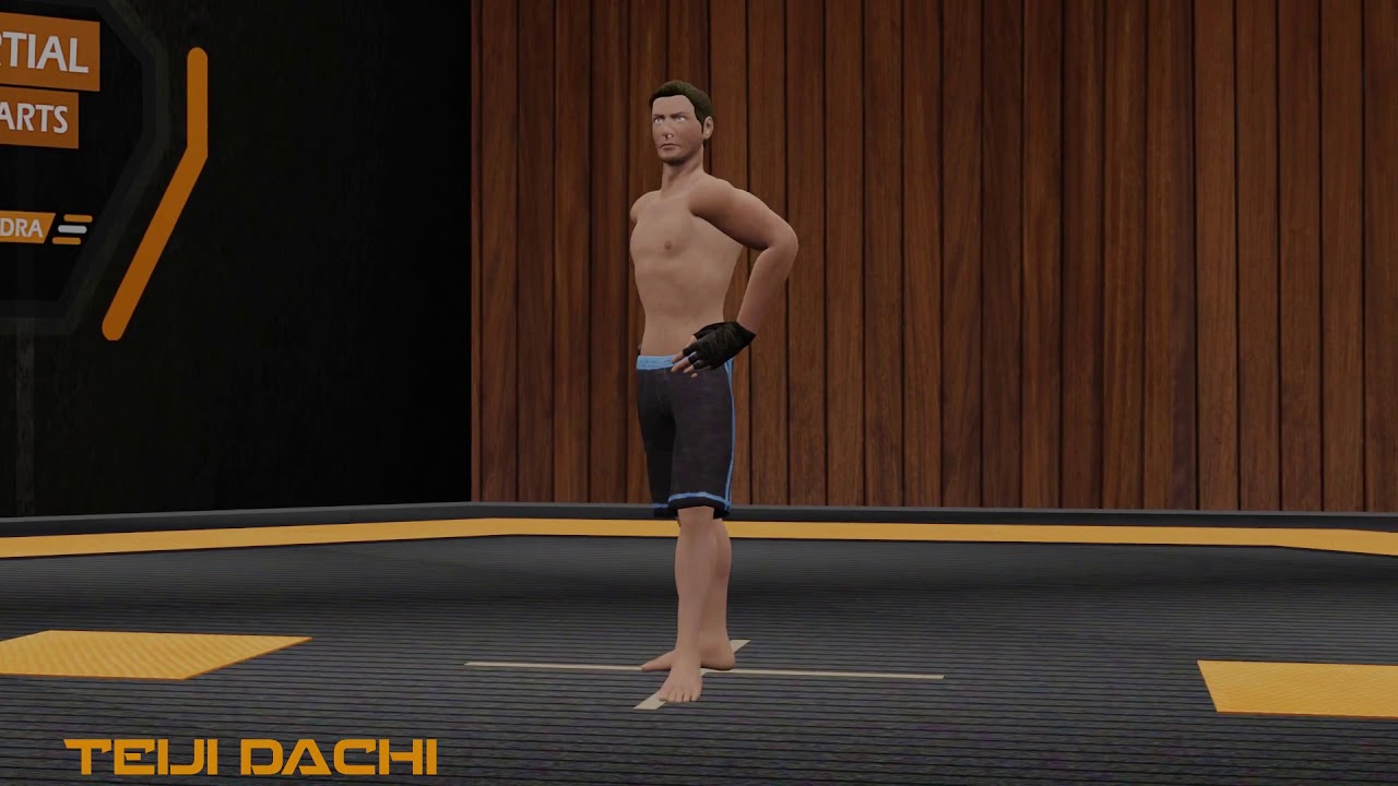 Karate Stances - Teiji Dachi - Goju Ryu Style - YouTube