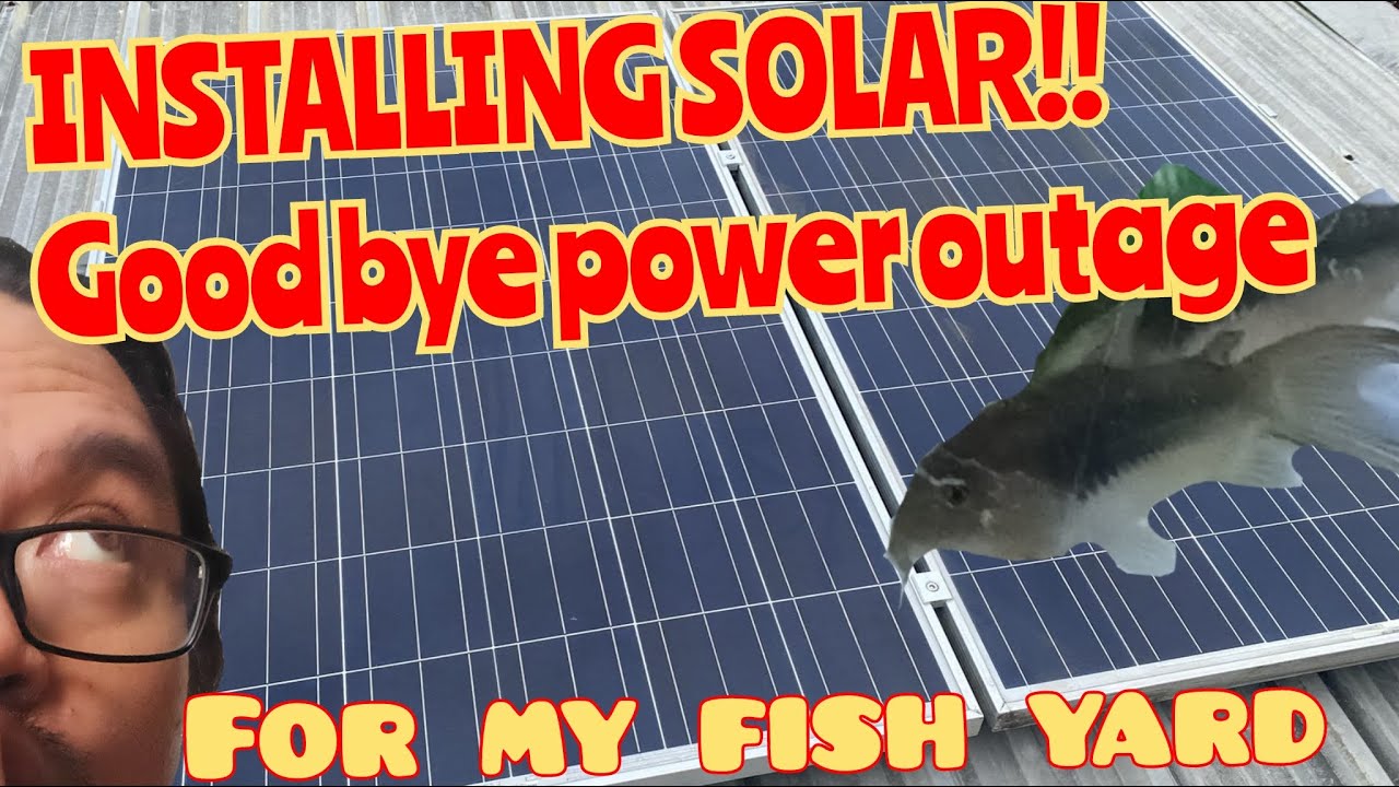 Solar Powering my Aquayard!! #fishbreeding #fishkeeping #fishtank # ...