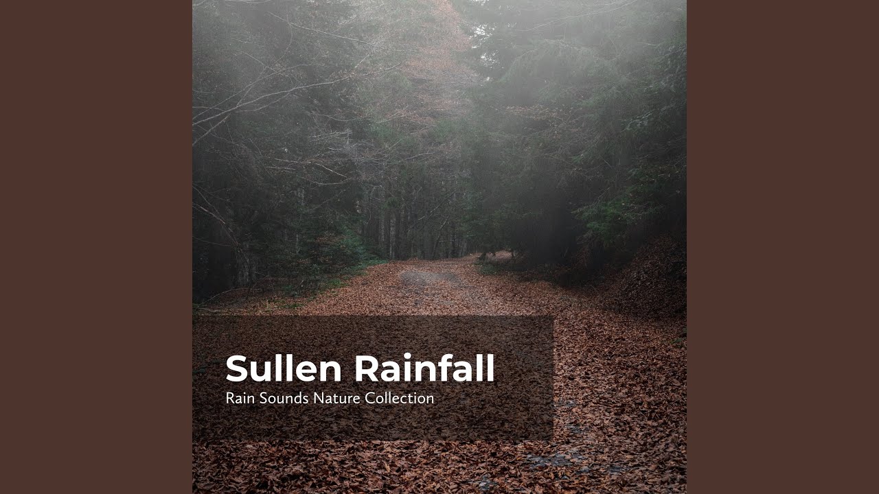 Still Gloomy Forest - YouTube