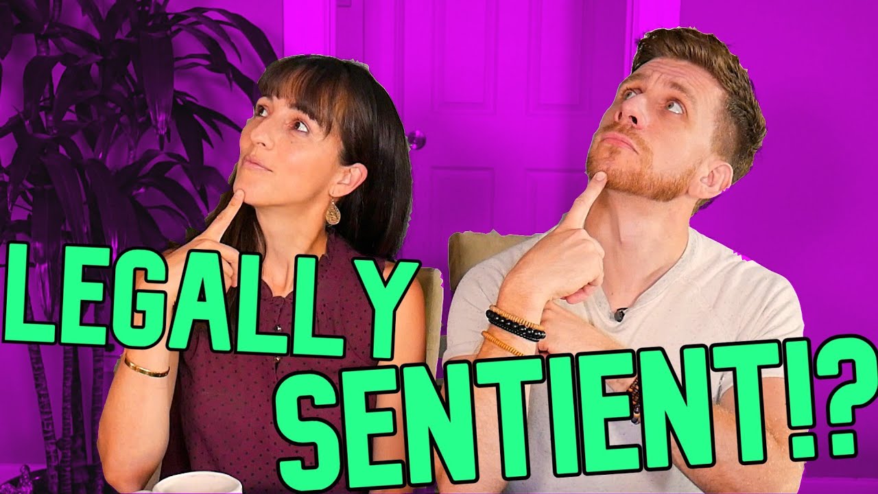 MAKING SENTIENCE THE LAW? | Washington Post Response - YouTube