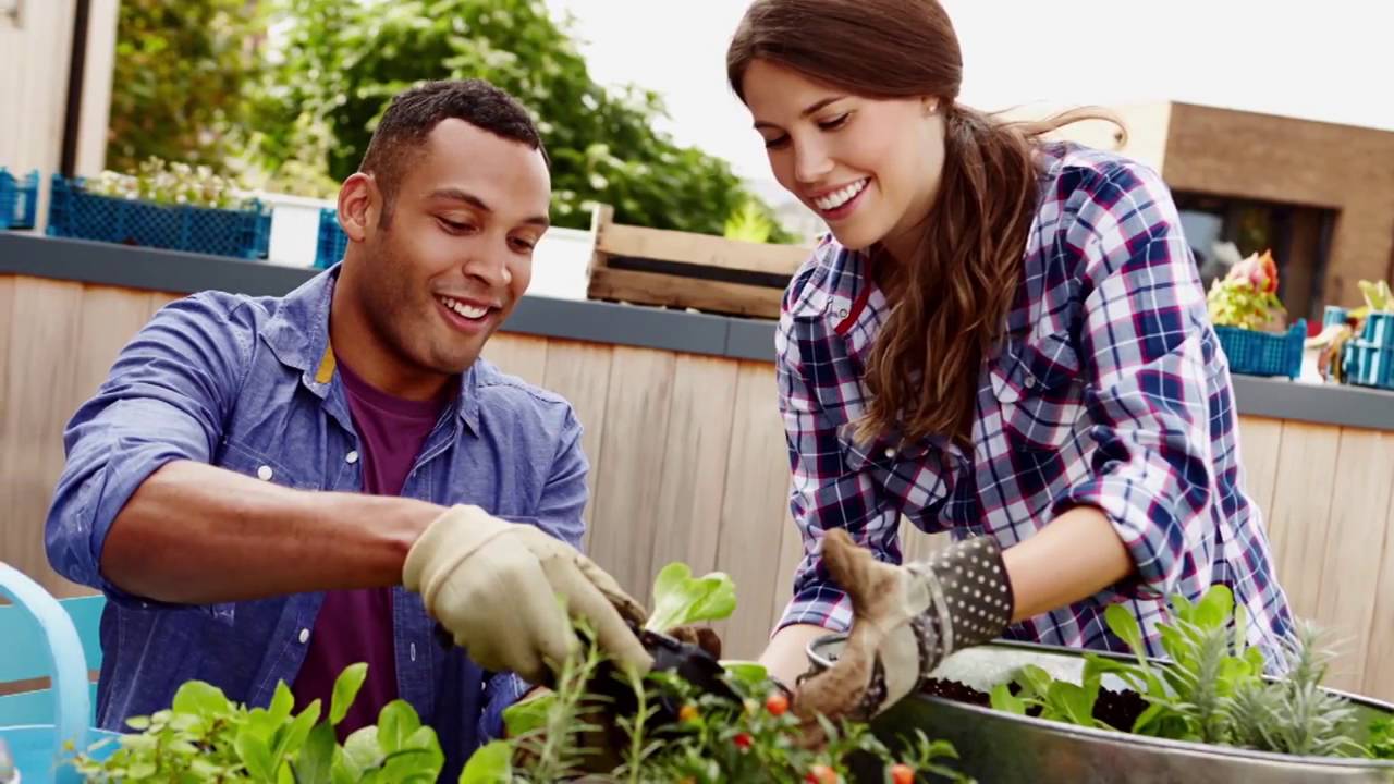 First the Seed Foundation - Cultivating What's Next - YouTube