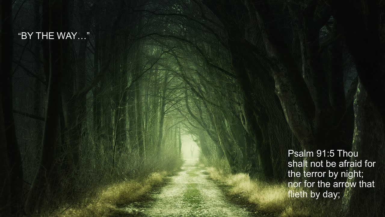 44. Thou shalt not be afraid for the terror by night; nor for the arrow ...