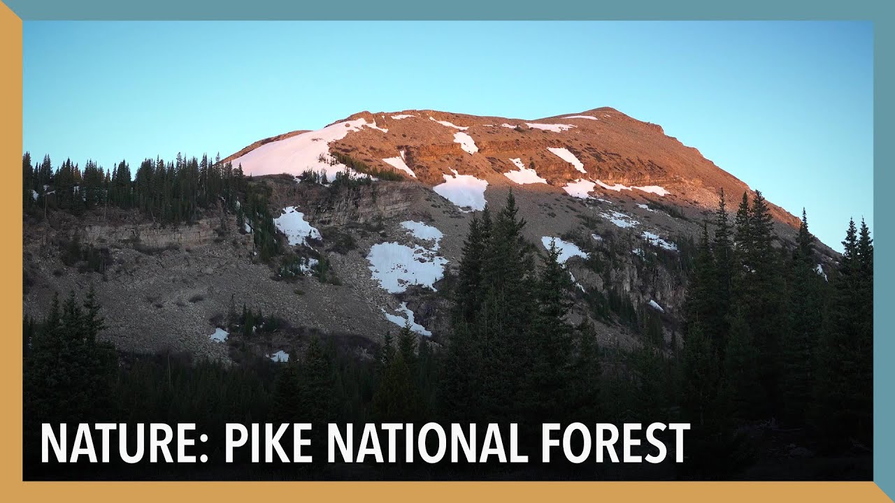 Nature: Pike National Forest | VOA Connect - YouTube