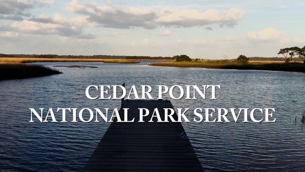 Exploring Northeast Florida's Cedar Point Preserve - YouTube
