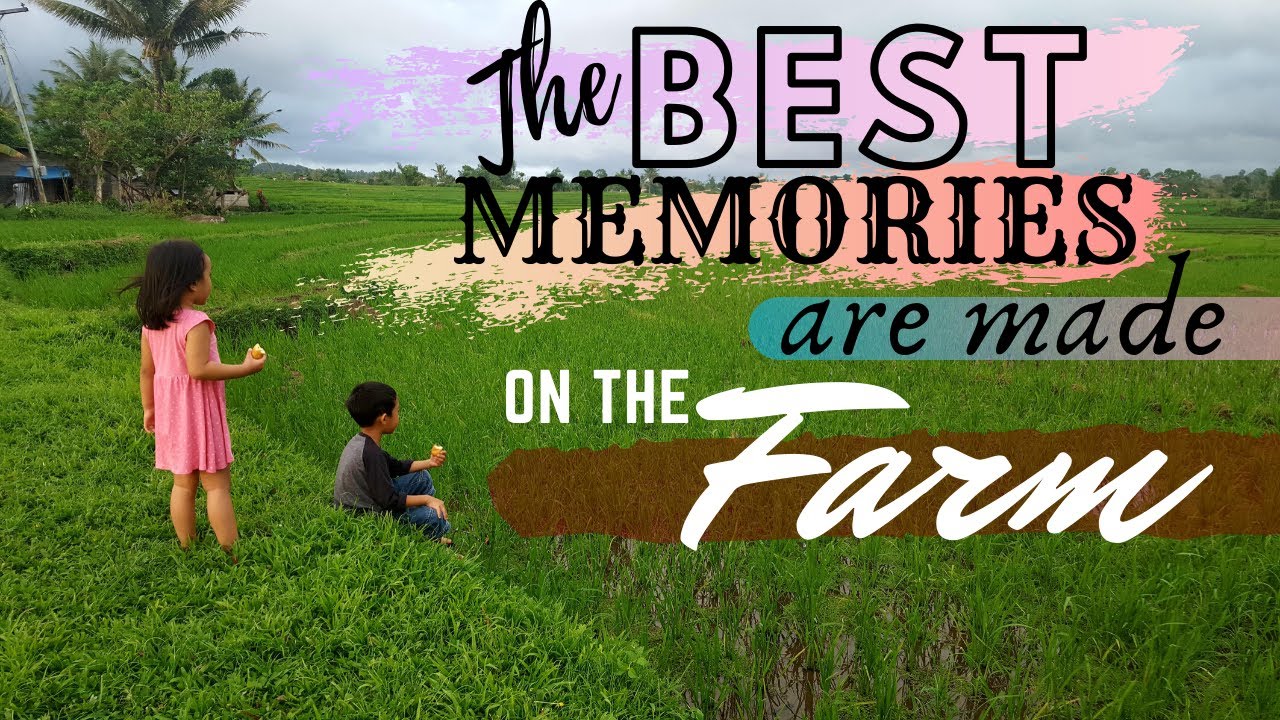 Rural Life: A Treasury of Farm Memories - YouTube