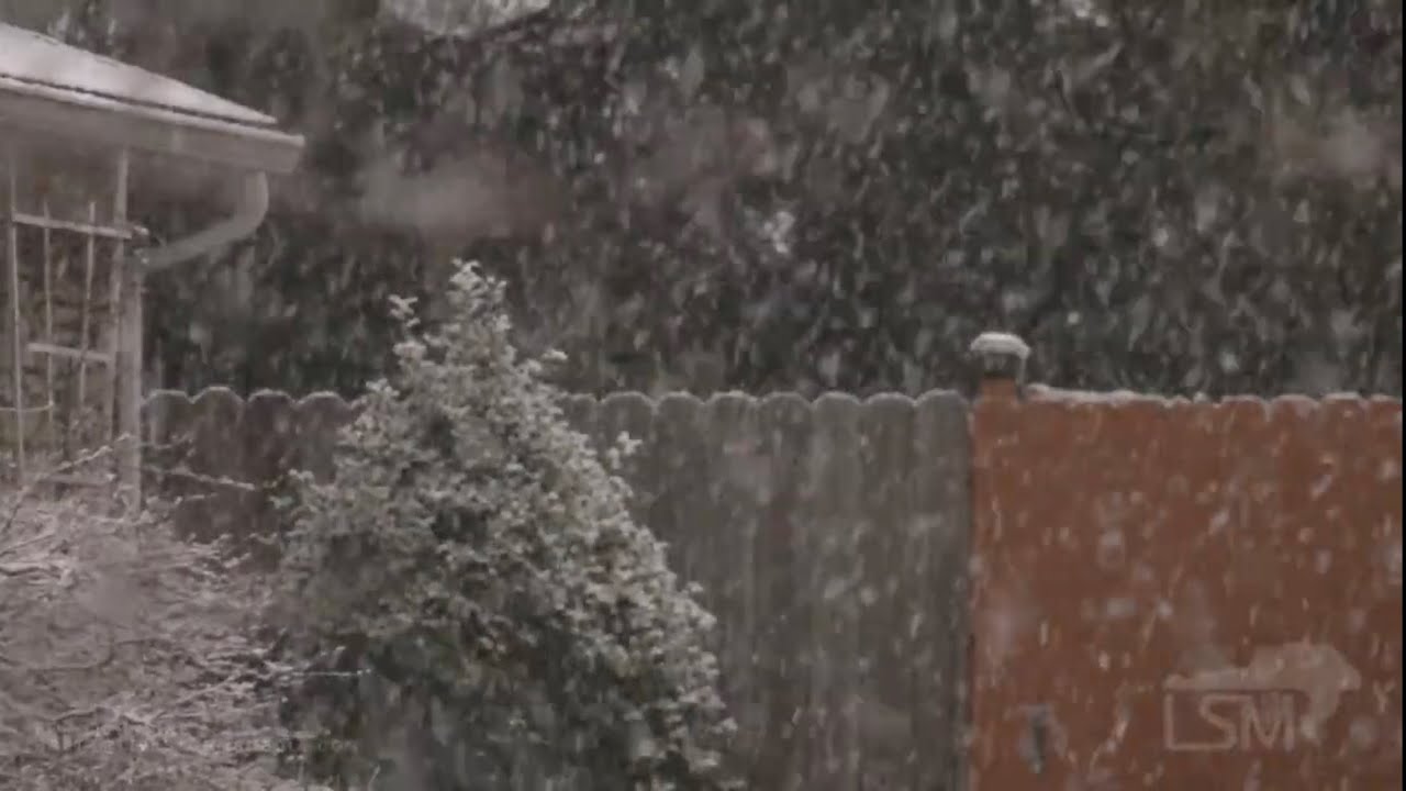 01-27-2021 Lexington, KY - First Snow Fall in Lexington - YouTube