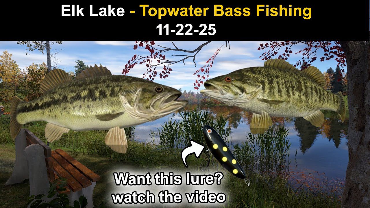 Russian Fishing 4, Elk Lake - Topwater Bass Fishing 11-22-25 - YouTube