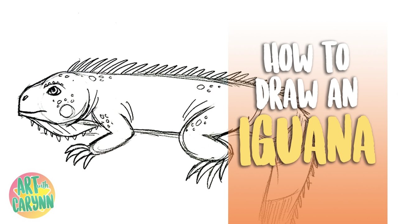 How to Draw an Iguana - YouTube