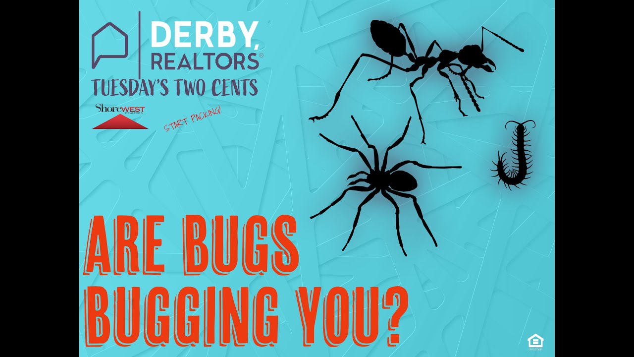 Are Bugs Bugging You? - YouTube