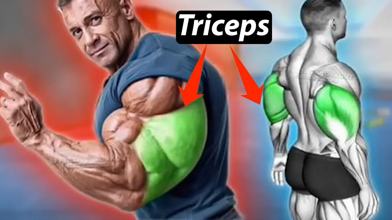 “Top 7 Triceps Exercises for Massive Arms | Build Bigger & Stronger ...